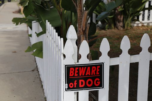 What Are the Most Common Spring Safety Hazards?